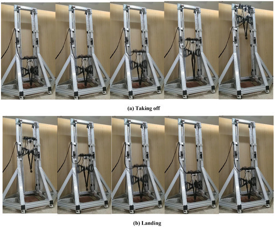 Design and Implementation of Symmetric Legged Robot for Highly Dynamic Jumping and Impact Mitigation