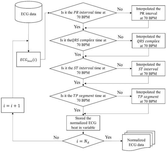 ECG Authentication Based on Non-Linear Normalization under Various Physiological Conditions