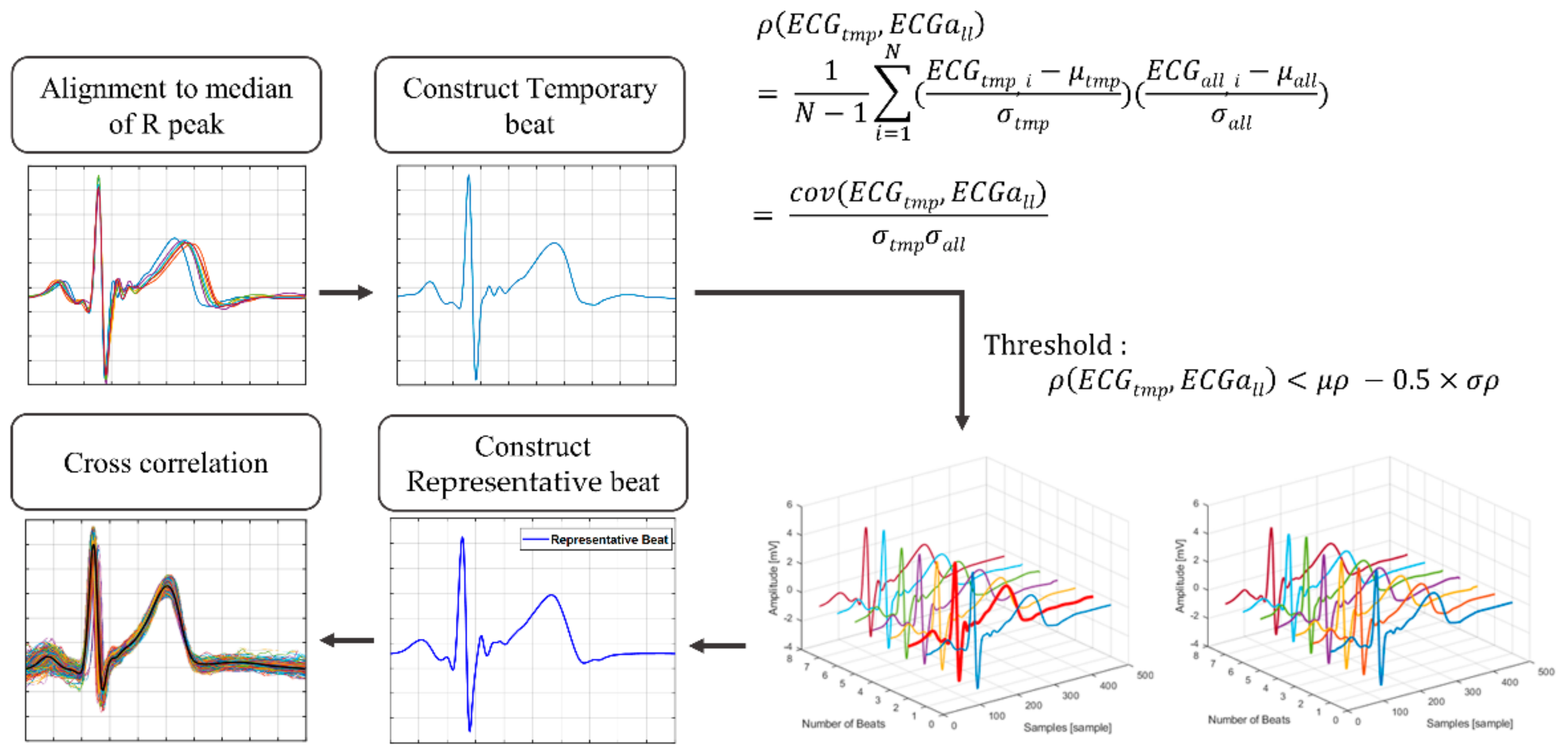 ECG Authentication Based on Non-Linear Normalization under Various Physiological Conditions