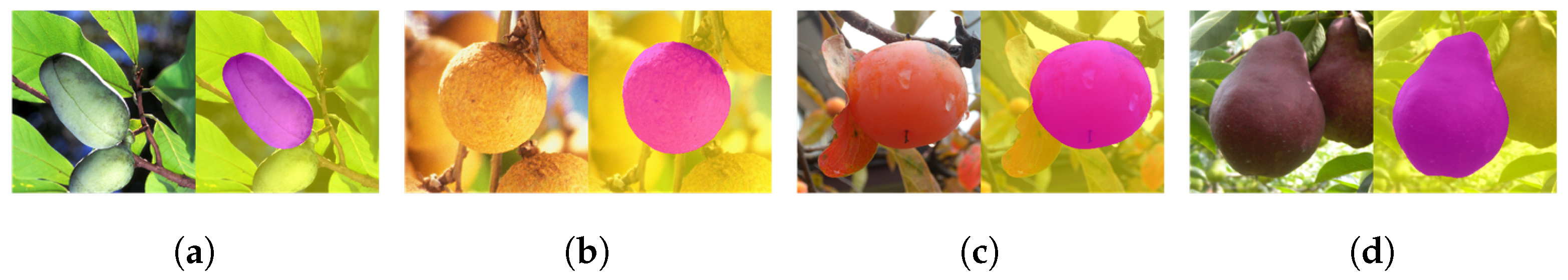 Sensors | Free Full-Text | Central Object Segmentation by Deep Learning ...