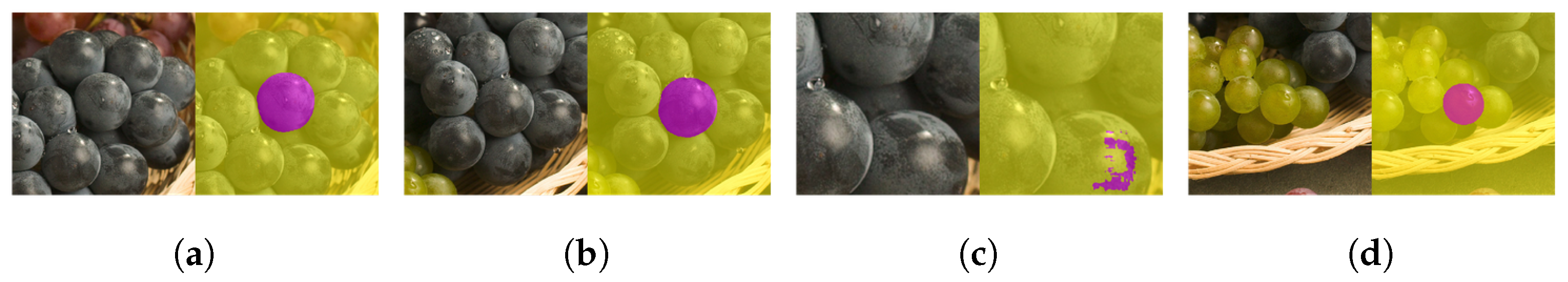 Sensors | Free Full-Text | Central Object Segmentation by Deep Learning ...