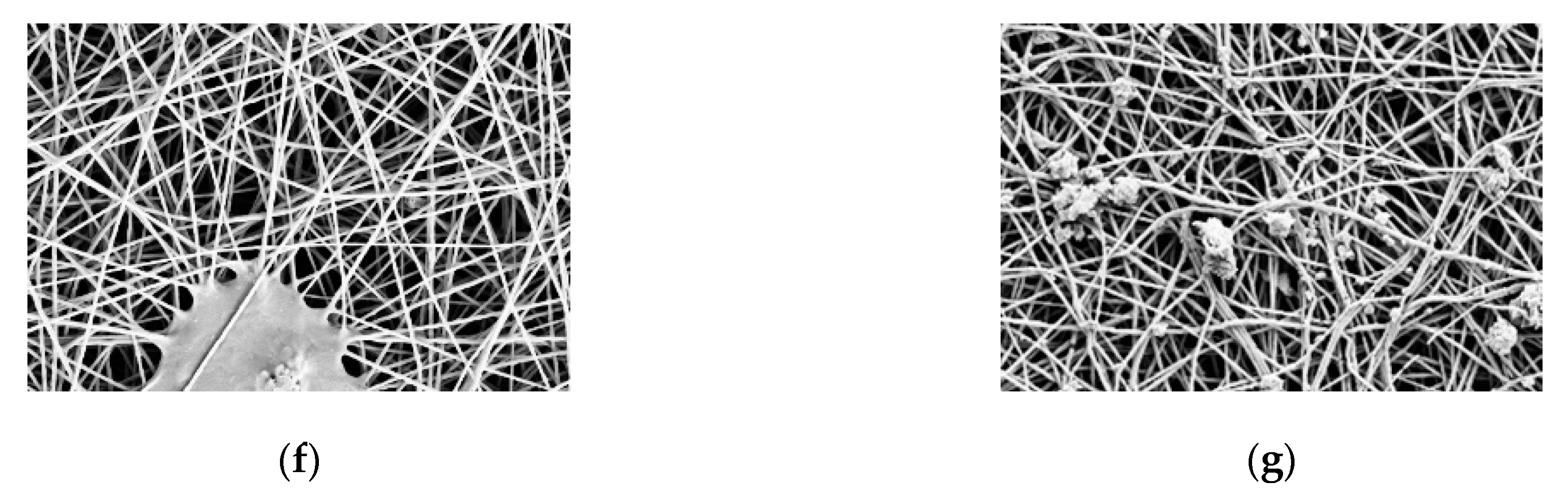 Deep Convolutional Neural Network Optimization for Defect Detection in ...