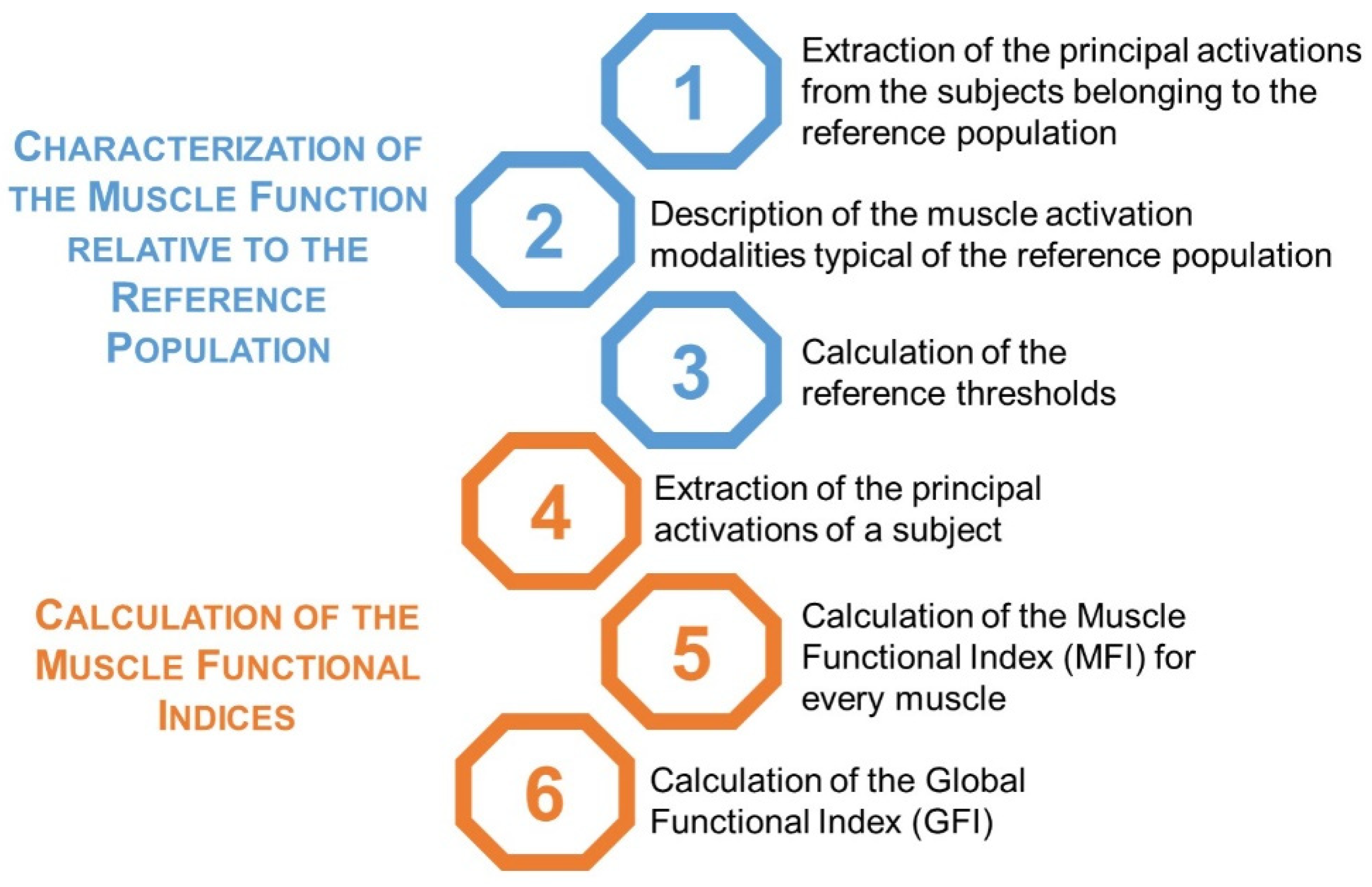 Evaluation of Muscle Function by Means of a Muscle-Specific and a ...
