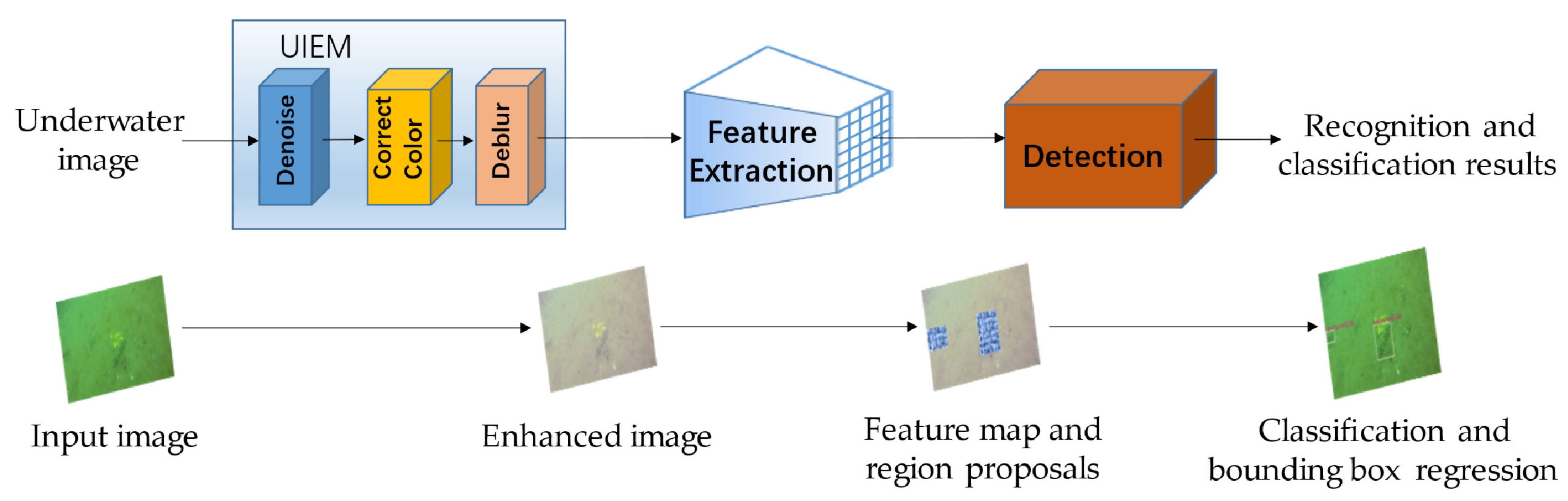 Sensors | Free Full-Text | A Marine Organism Detection Framework Based ...