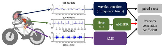 Differences in Physiological Signals Due to Age and Exercise Habits of ...