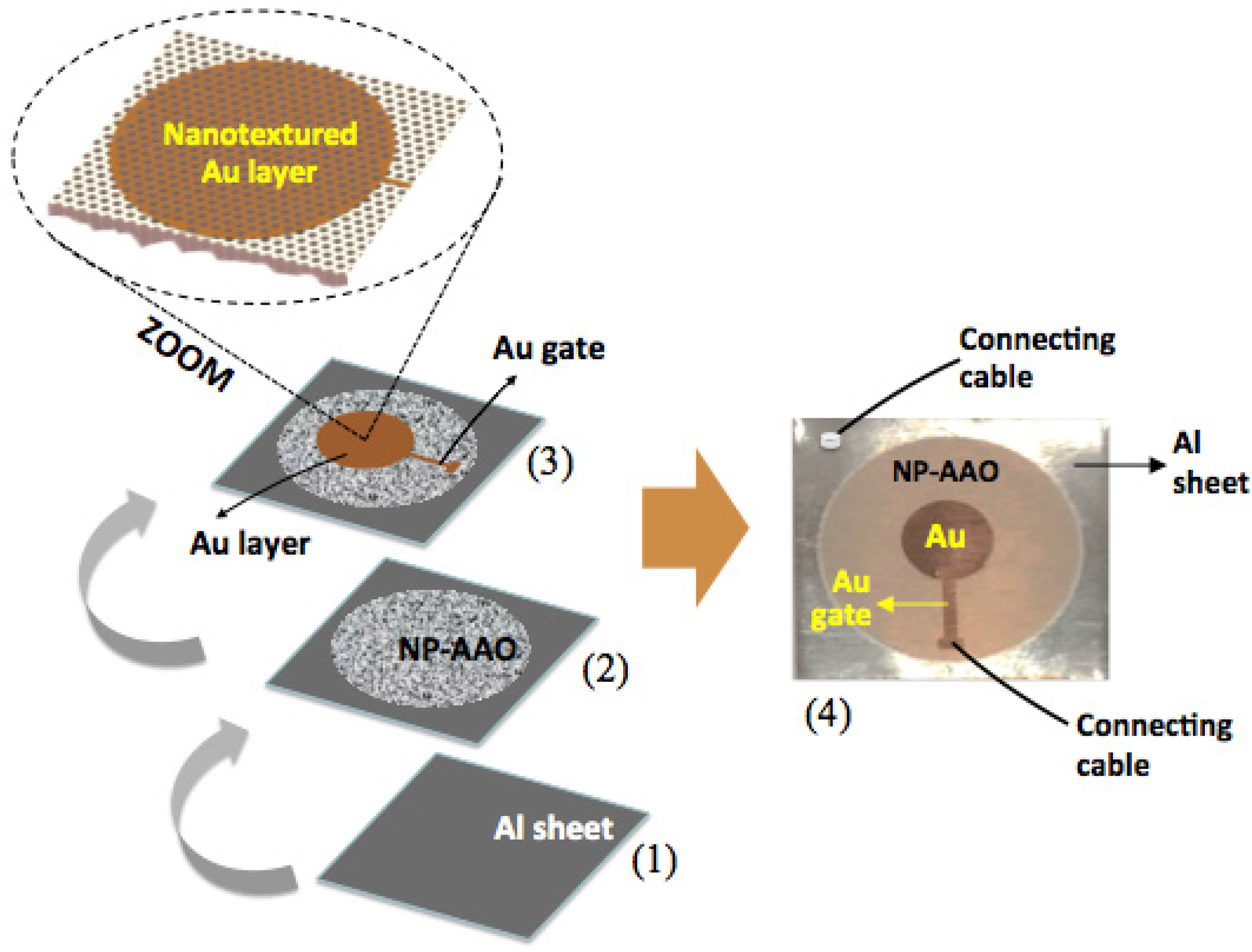 Development of Capacitive-Type Sensors by Electrochemical Anodization ...