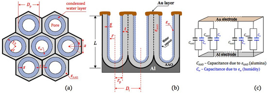Development of Capacitive-Type Sensors by Electrochemical Anodization ...