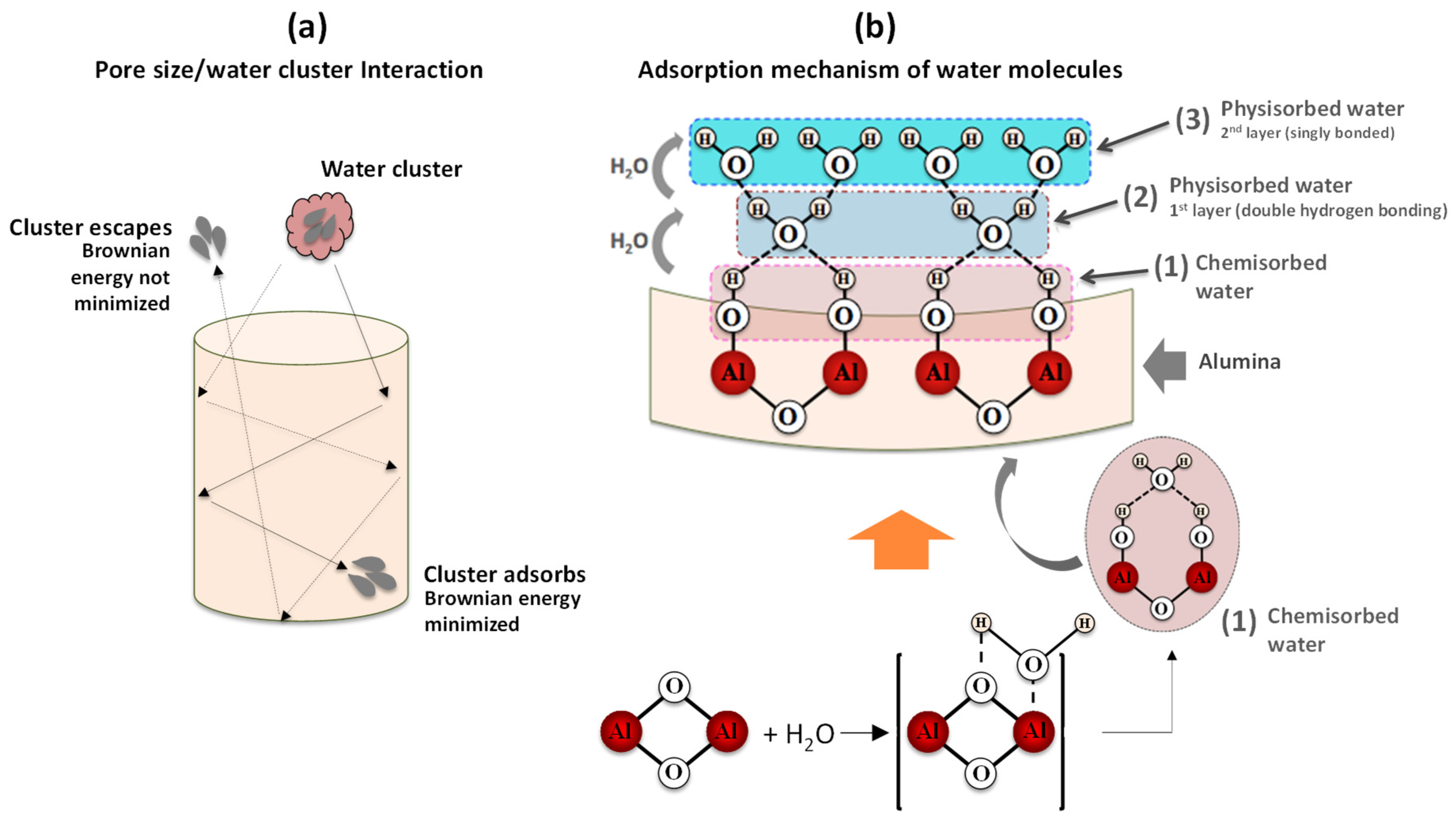 Development of Capacitive-Type Sensors by Electrochemical Anodization ...