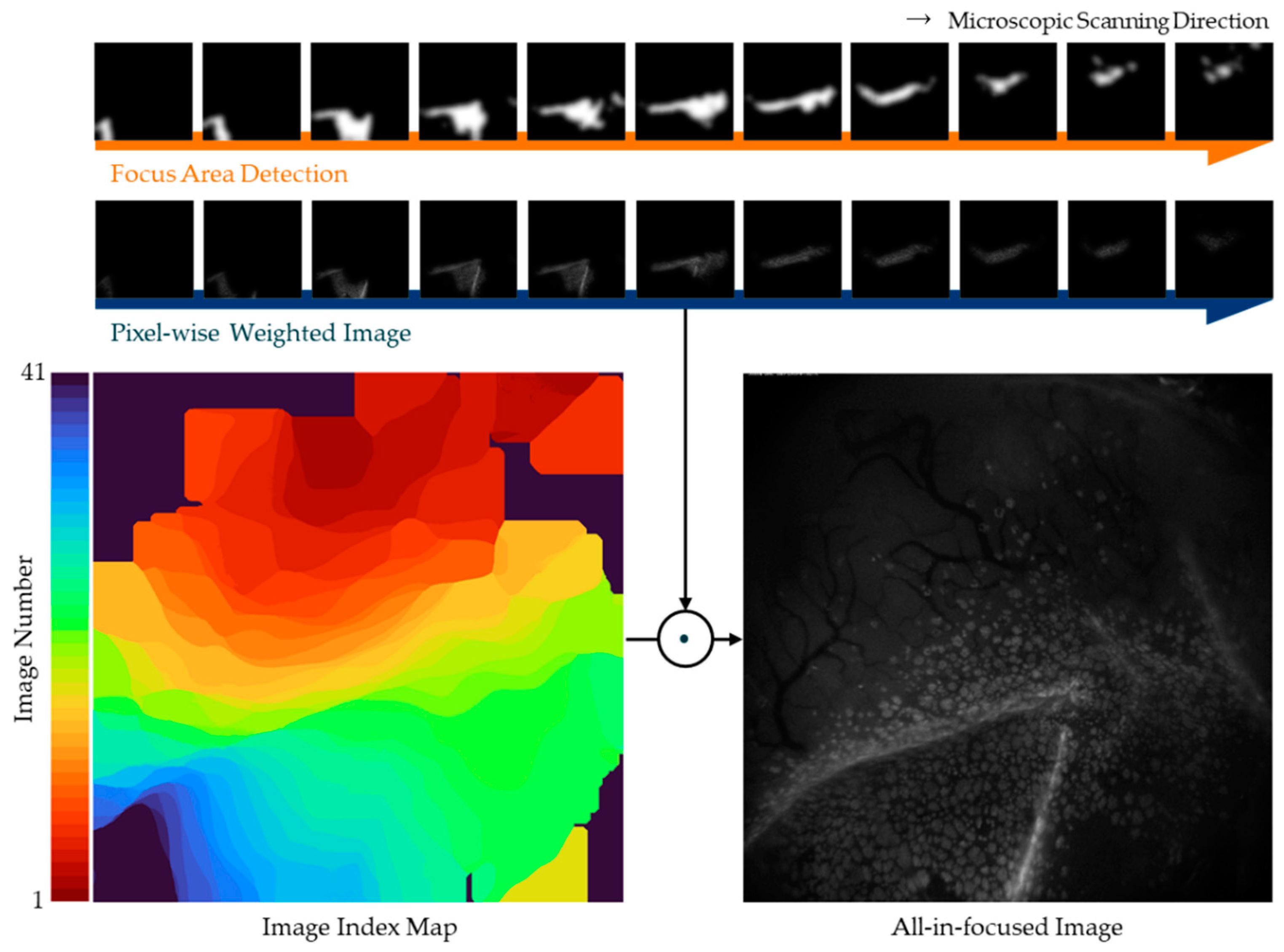 Multi-Focus Image Fusion Using Focal Area Extraction in a Large ...