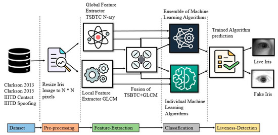 Sensors | Free Full-Text | Detection of Iris Presentation Attacks Using Feature Fusion of ...