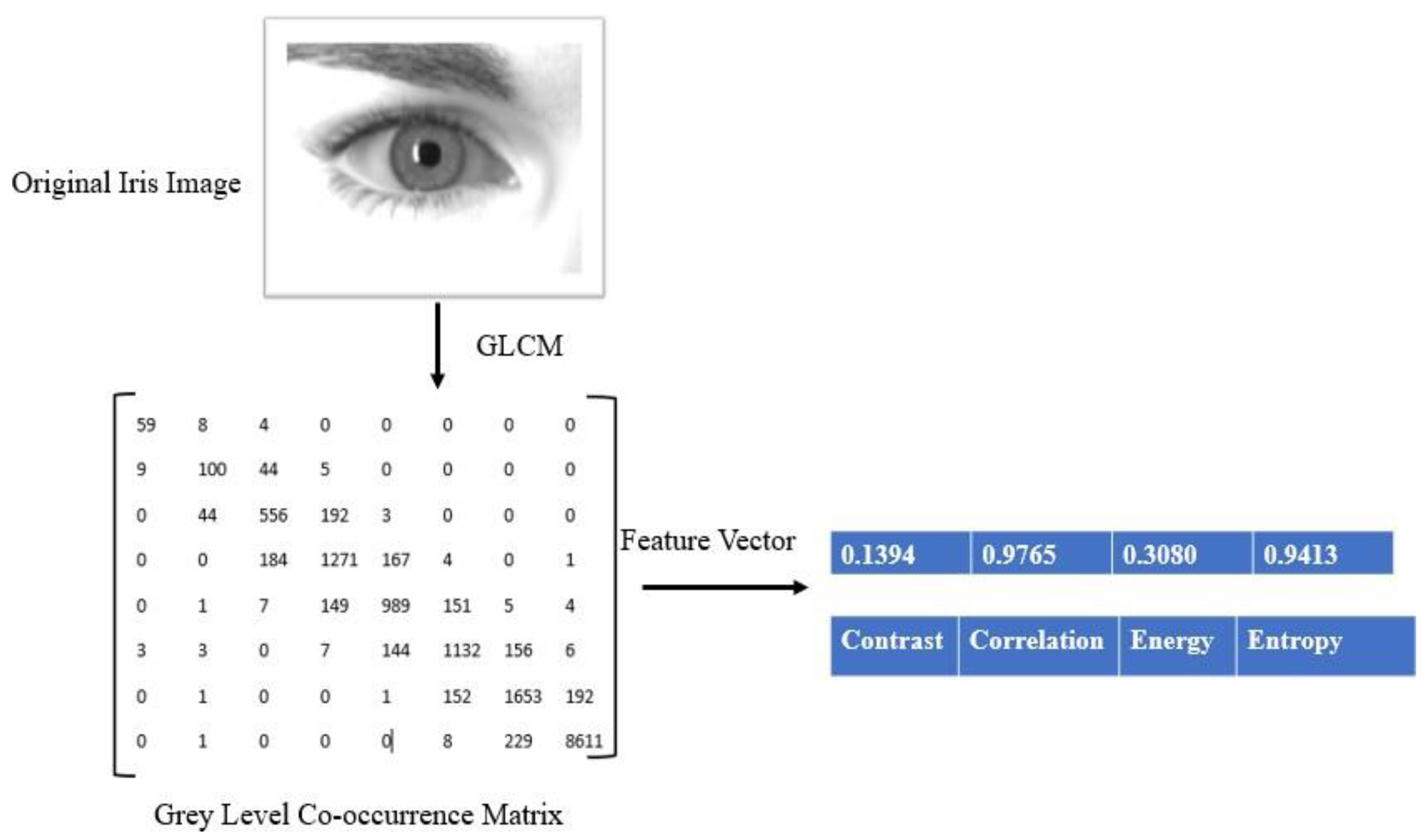 Sensors | Free Full-Text | Detection of Iris Presentation Attacks Using ...