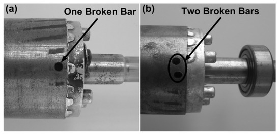 Broken Rotor Bar Detection in Induction Motors through Contrast Estimation