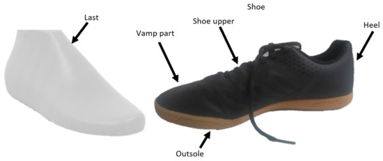 Analysis of Laser Sensors and Camera Vision in the Shoe Position ...