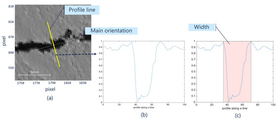 Image-Based Automated Width Measurement of Surface Cracking
