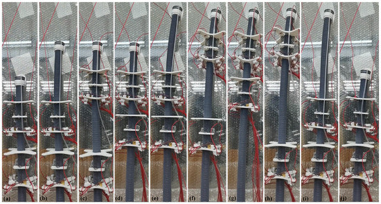 A Modular Cooperative Wall-Climbing Robot Based on Internal Soft Bone