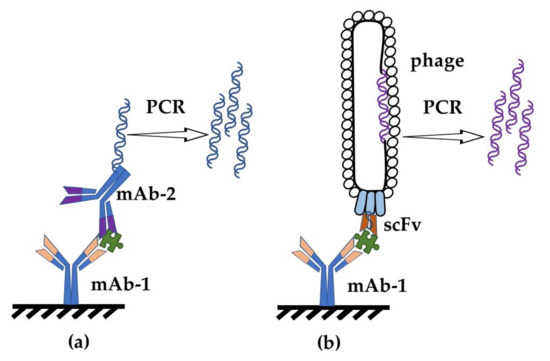 Sensors | Free Full-Text | Antibodies as Biosensors’ Key Components ...