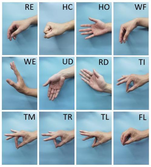 Elements Influencing sEMG-Based Gesture Decoding: Muscle Fatigue ...