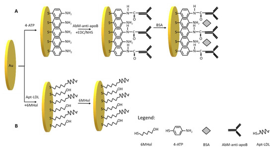 Detection of Low Density Lipoprotein—Comparison of Electrochemical ...
