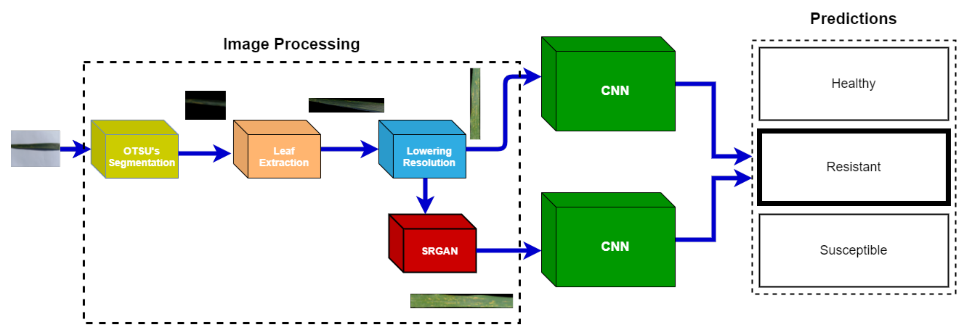 Super Resolution Generative Adversarial Network (SRGANs) for Wheat Stripe Rust Classification