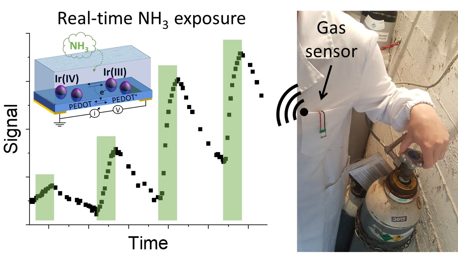 Sensors | Free Full-Text | A Wearable Electrochemical Gas Sensor for ...