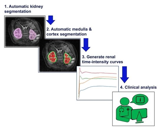 Sensors | Free Full-Text | Improving Automatic Renal Segmentation in ...