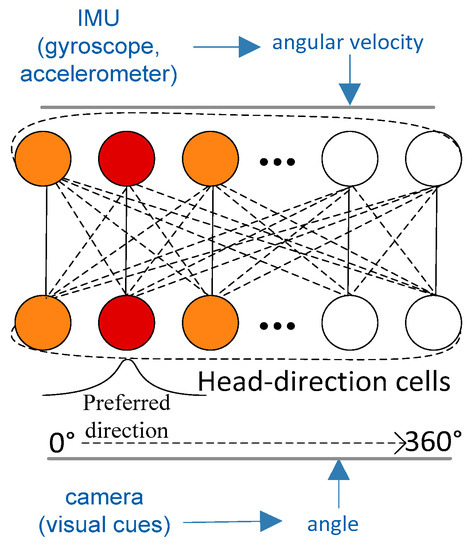 A Positioning Method Based on Place Cells and Head-Direction Cells for ...