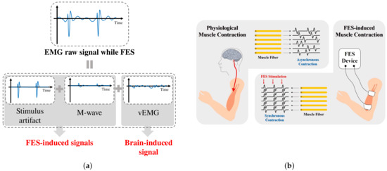 Volitional EMG Estimation Method during Functional Electrical ...