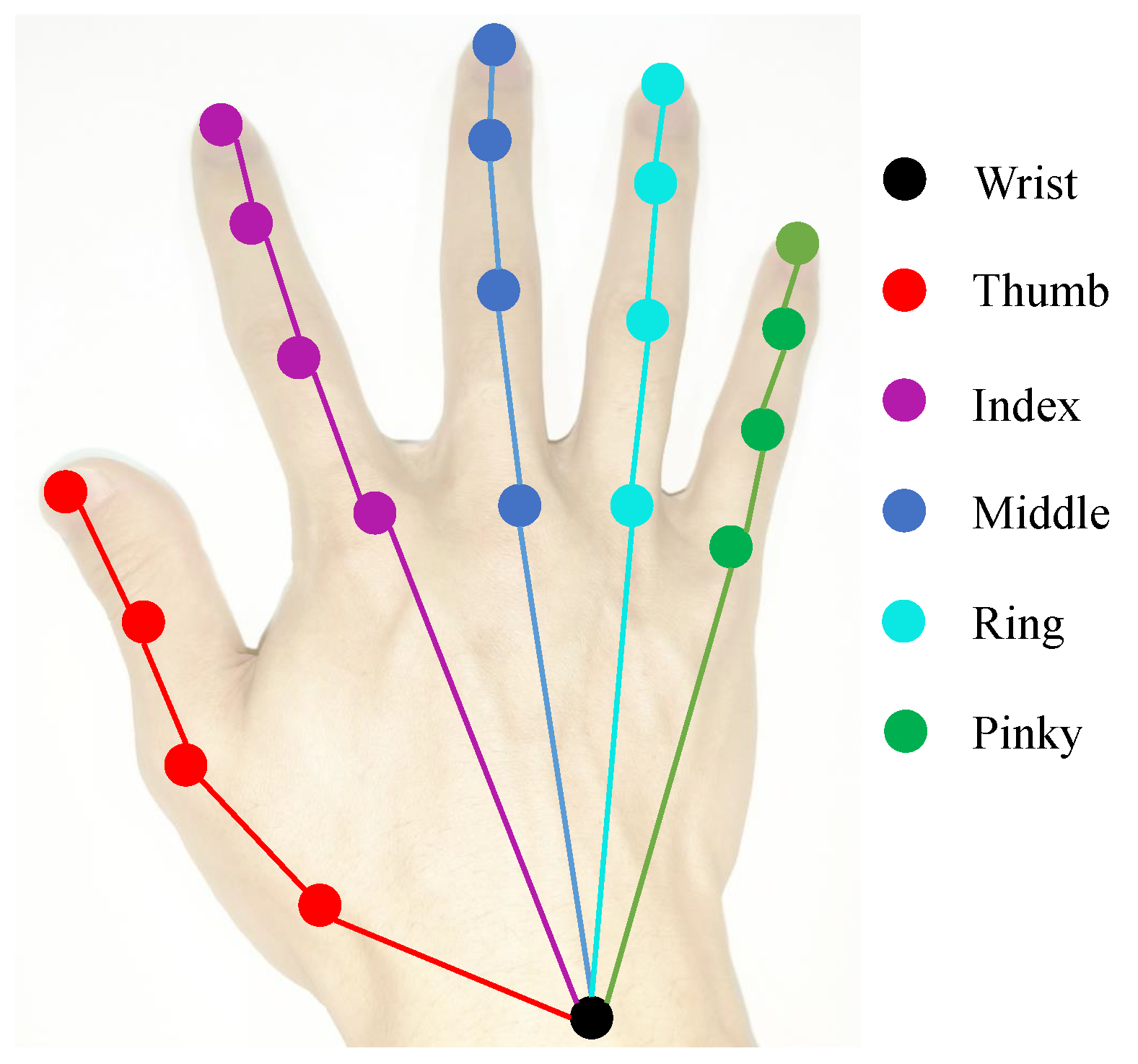 Coarse-to-Fine Hand–Object Pose Estimation with Interaction-Aware Graph Convolutional Network
