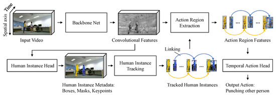 An Efficient Human Instance-Guided Framework for Video Action Recognition