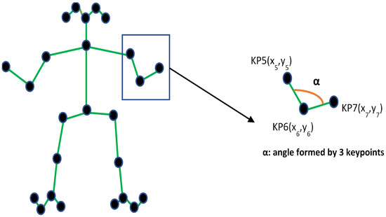 Toward Modeling Psychomotor Performance in Karate Combats Using Computer Vision Pose Estimation