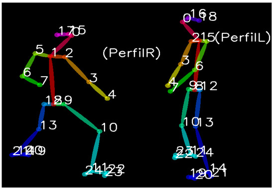 Toward Modeling Psychomotor Performance in Karate Combats Using Computer Vision Pose Estimation