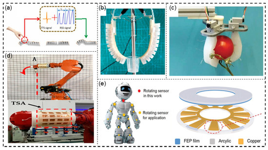 Recent Advances in Self-Powered Piezoelectric and Triboelectric Sensors ...