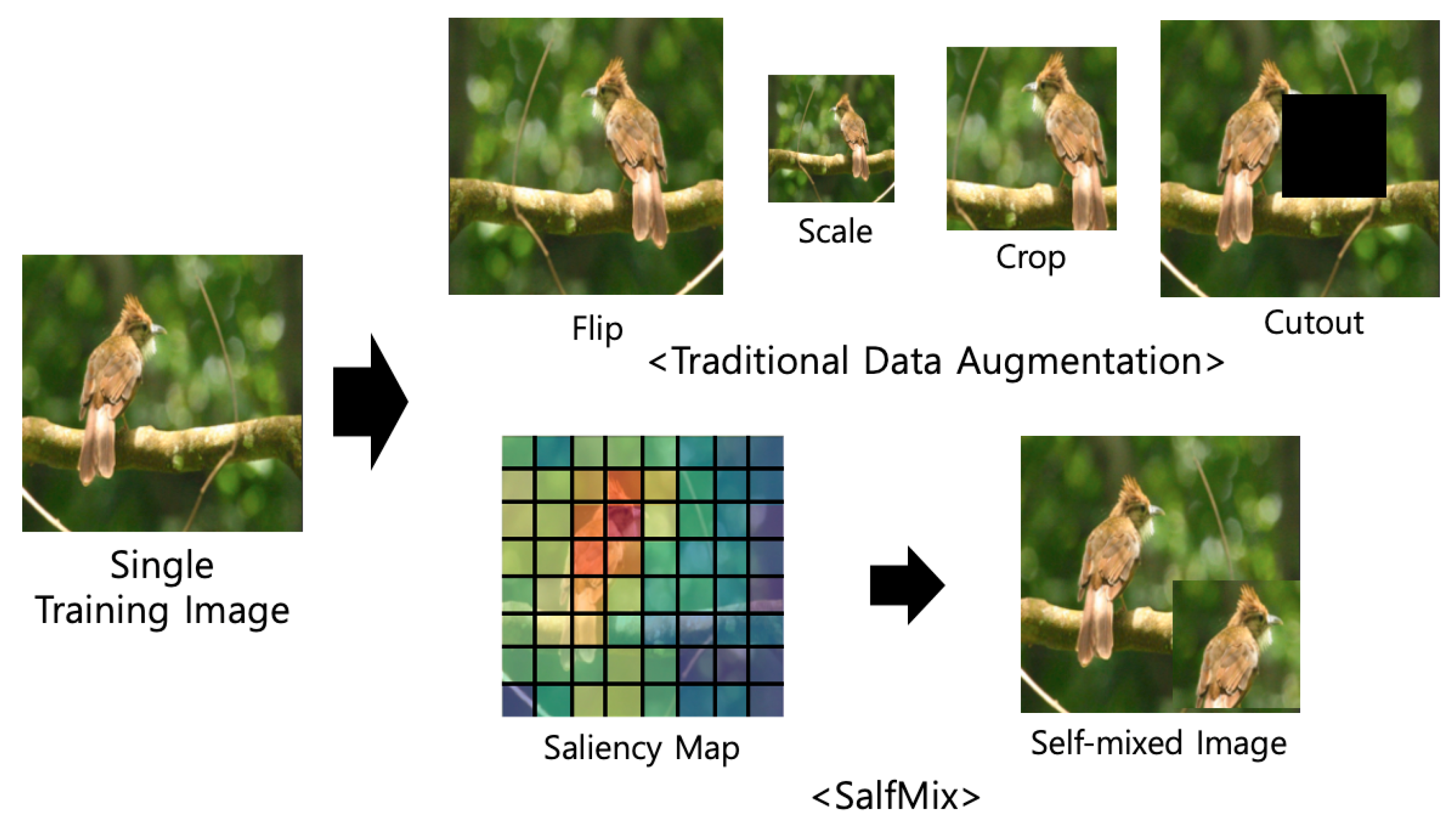 Sensors | Free Full-Text | SalfMix: A Novel Single Image-Based Data Augmentation Technique Using ...