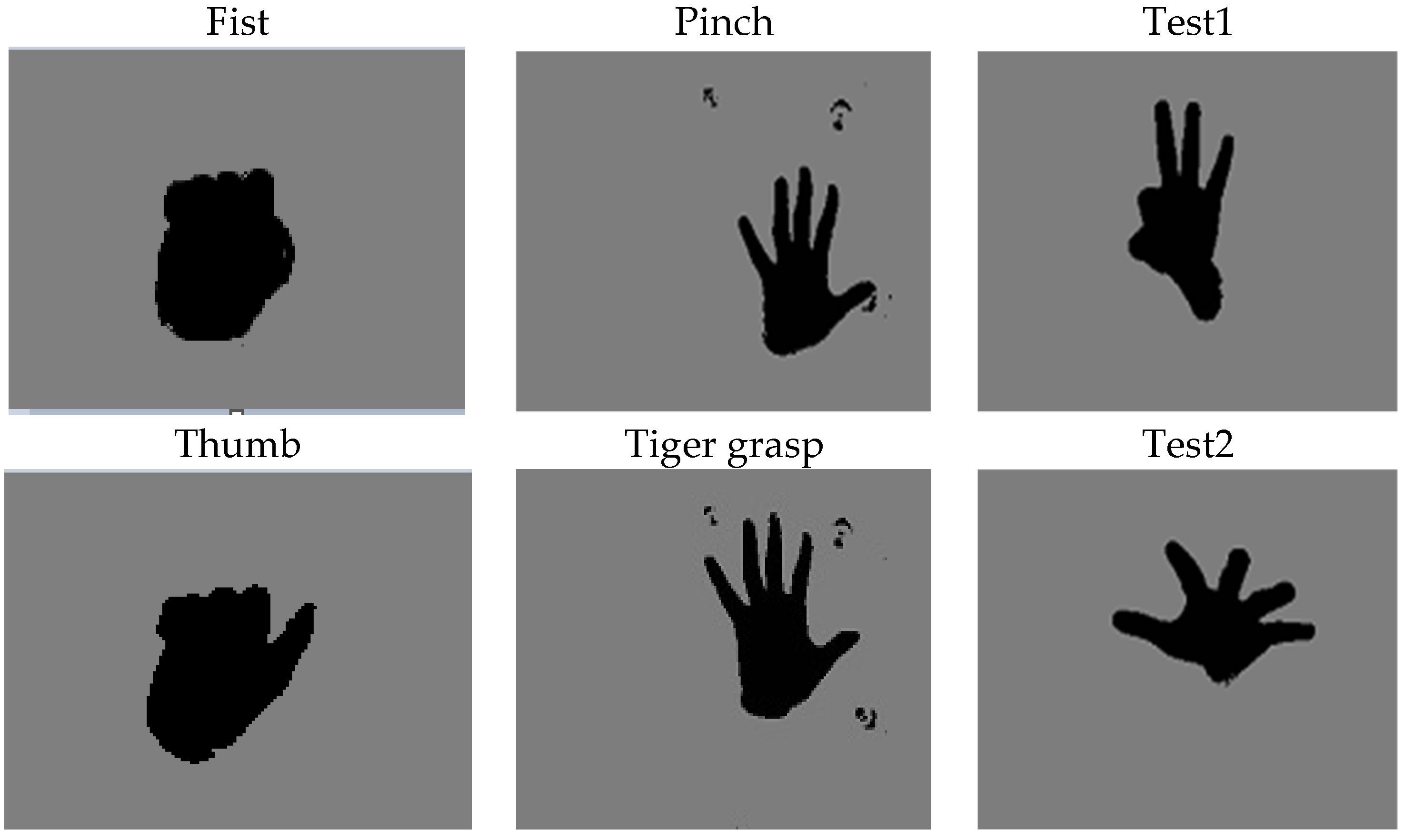 Hand Pose Recognition Using Parallel Multi Stream CNN