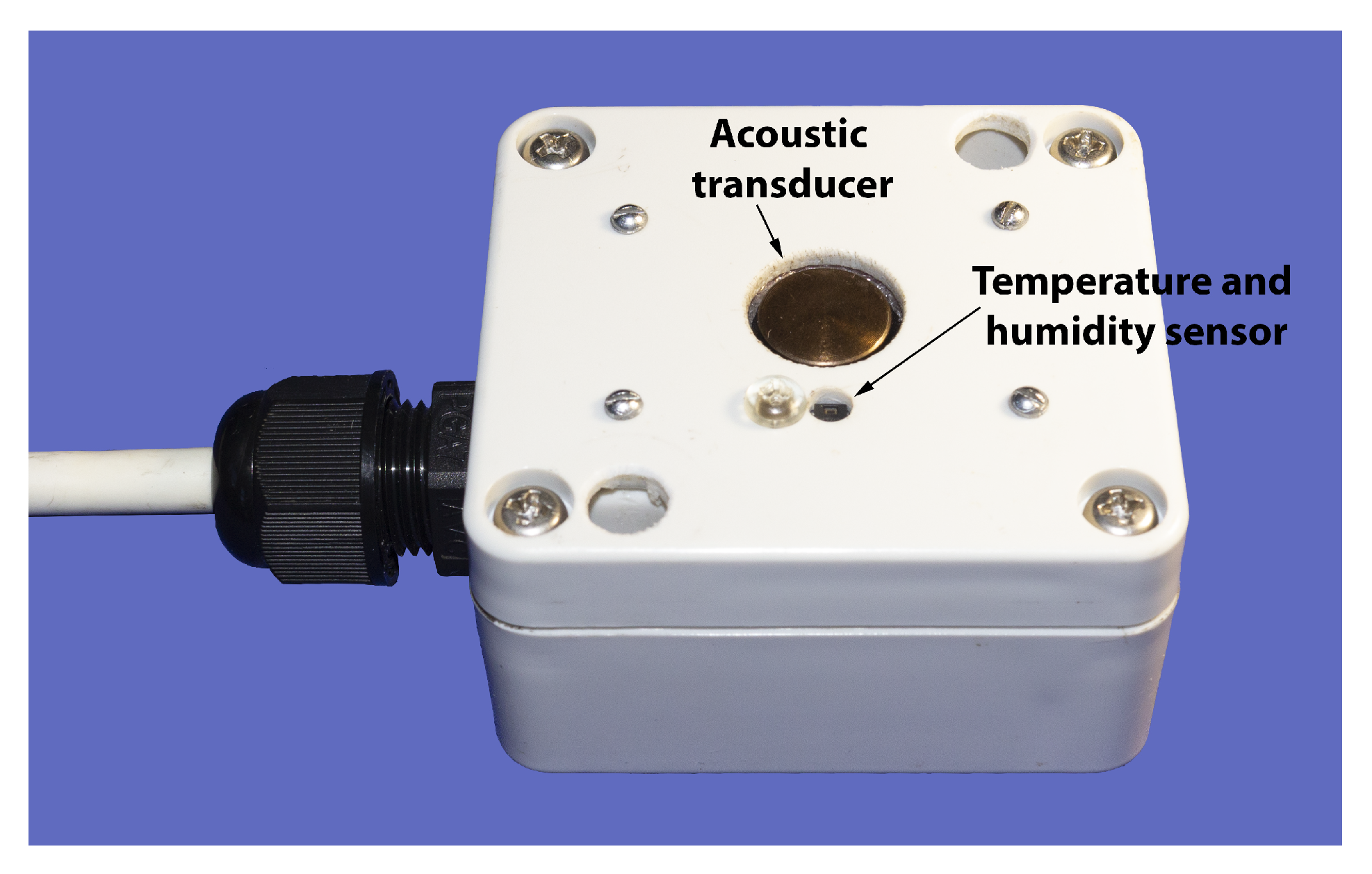 Autonomous System for Lake Ice Monitoring
