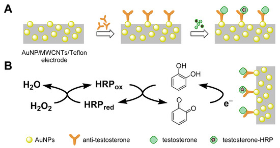 Advances in the Determination of Anabolic-Androgenic Steroids: From ...