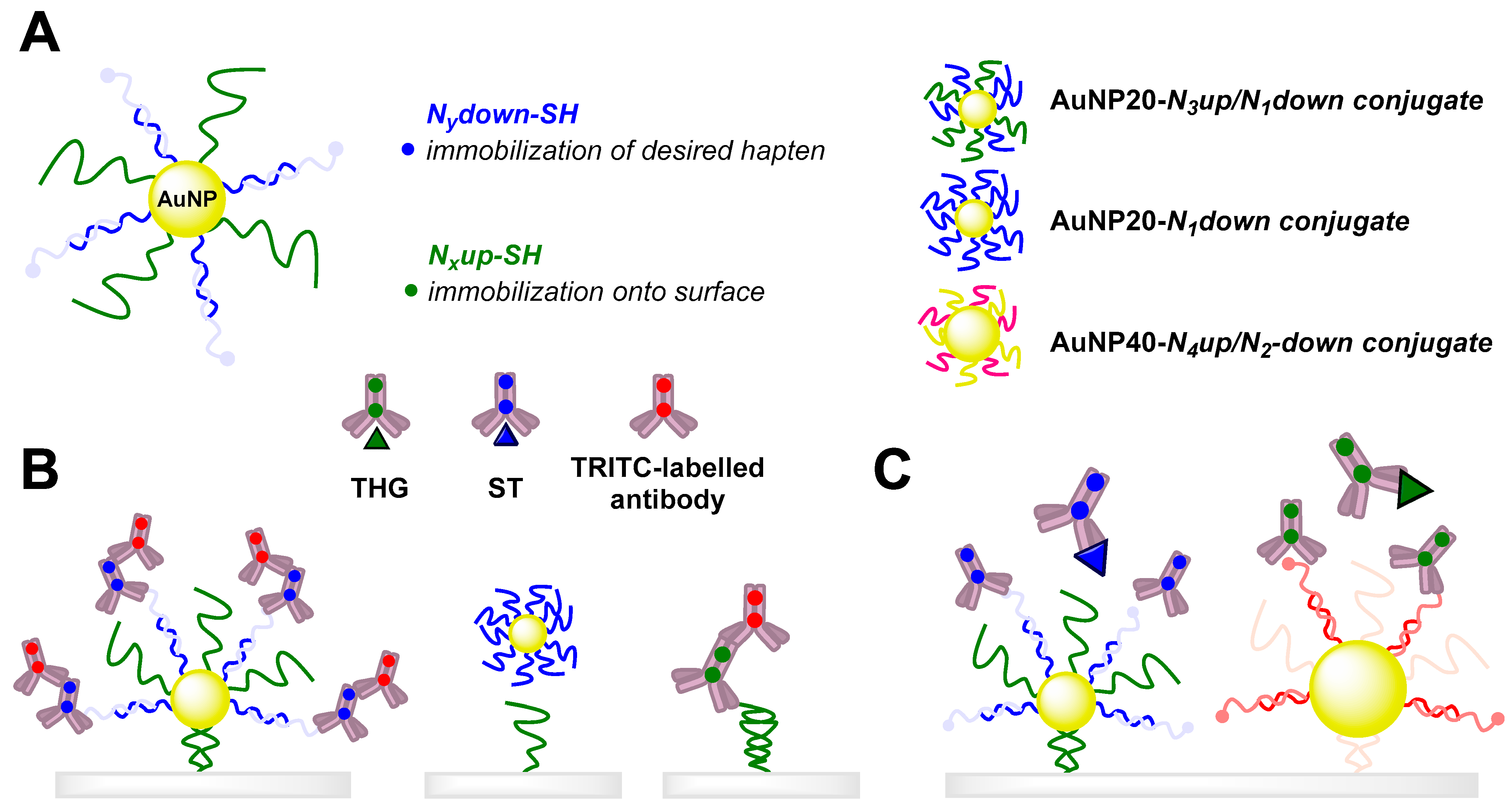 Advances in the Determination of Anabolic-Androgenic Steroids: From ...