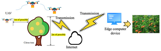 Design of Citrus Fruit Detection System Based on Mobile Platform and ...