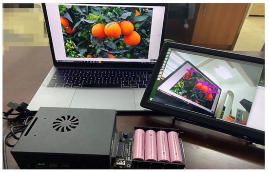 Design of Citrus Fruit Detection System Based on Mobile Platform and ...