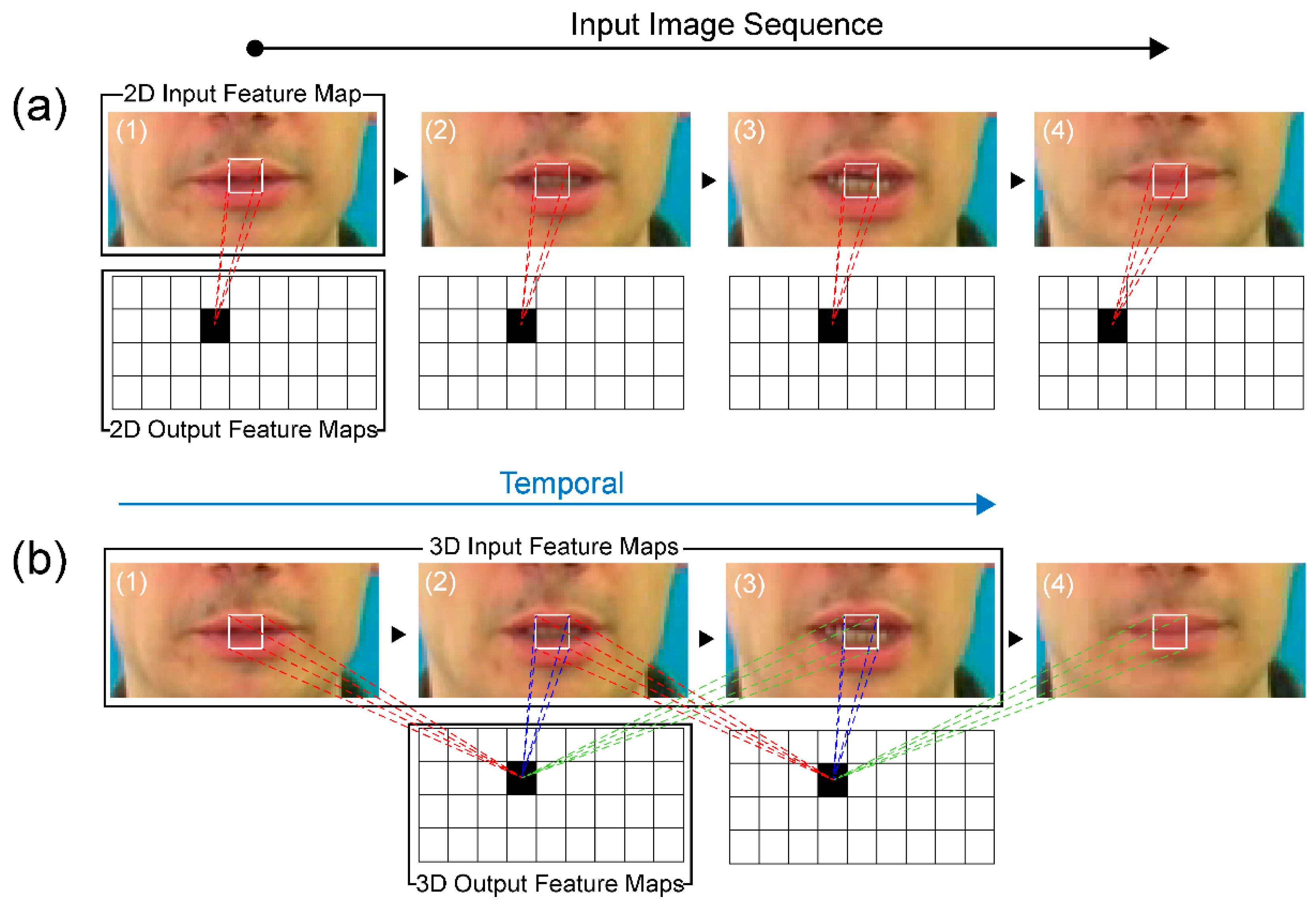 Lipreading Architecture Based on Multiple Convolutional Neural Networks for Sentence-Level ...