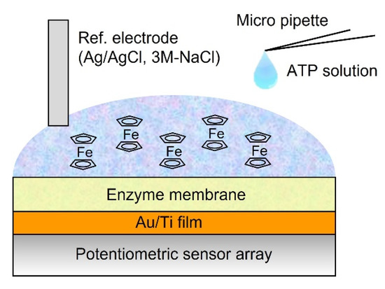 CMOS-Based Redox-Type Label-Free ATP Image Sensor for In Vitro ...