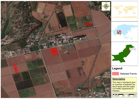Wheat Yellow Rust Disease Infection Type Classification Using Texture ...