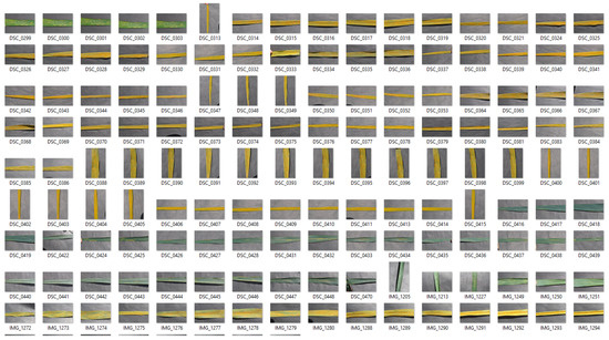 Wheat Yellow Rust Disease Infection Type Classification Using Texture ...