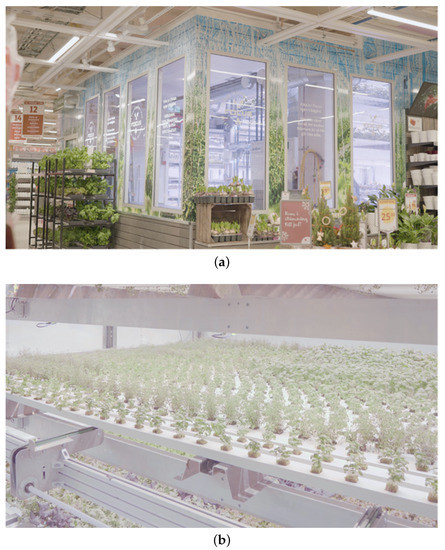 Plant Factory: A New Playground of Industrial Communication and Computing