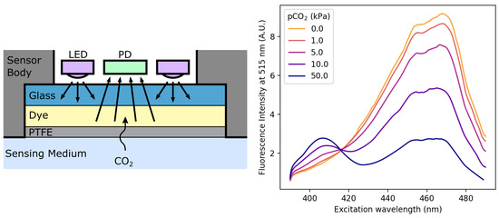 Sensors | Free Full-Text | Carbon Dioxide Sensing—Biomedical ...