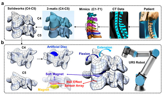 Robotic Replica of a Human Spine Uses Soft Magnetic Sensor Array to ...