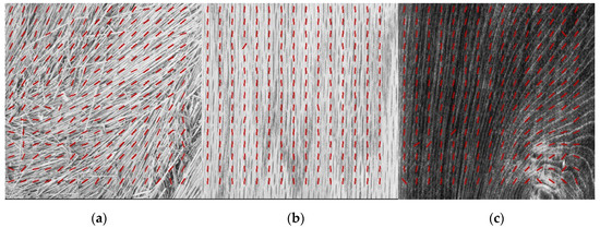 A Convolutional Neural Networks-Based Approach for Texture Directionality Detection