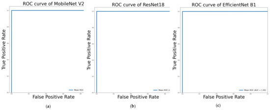 Bangla Sign Language (BdSL) Alphabets and Numerals Classification Using a Deep Learning Model
