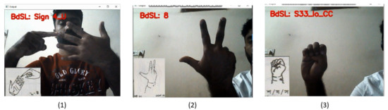 Bangla Sign Language (BdSL) Alphabets and Numerals Classification Using a Deep Learning Model