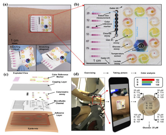 Comprehensive Review on Wearable Sweat-Glucose Sensors for Continuous ...